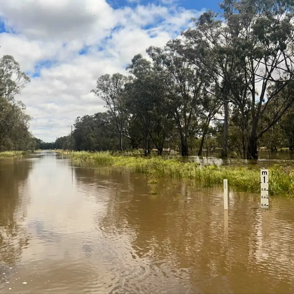 Buloke Shire Flood Recovery Assessments - RMG